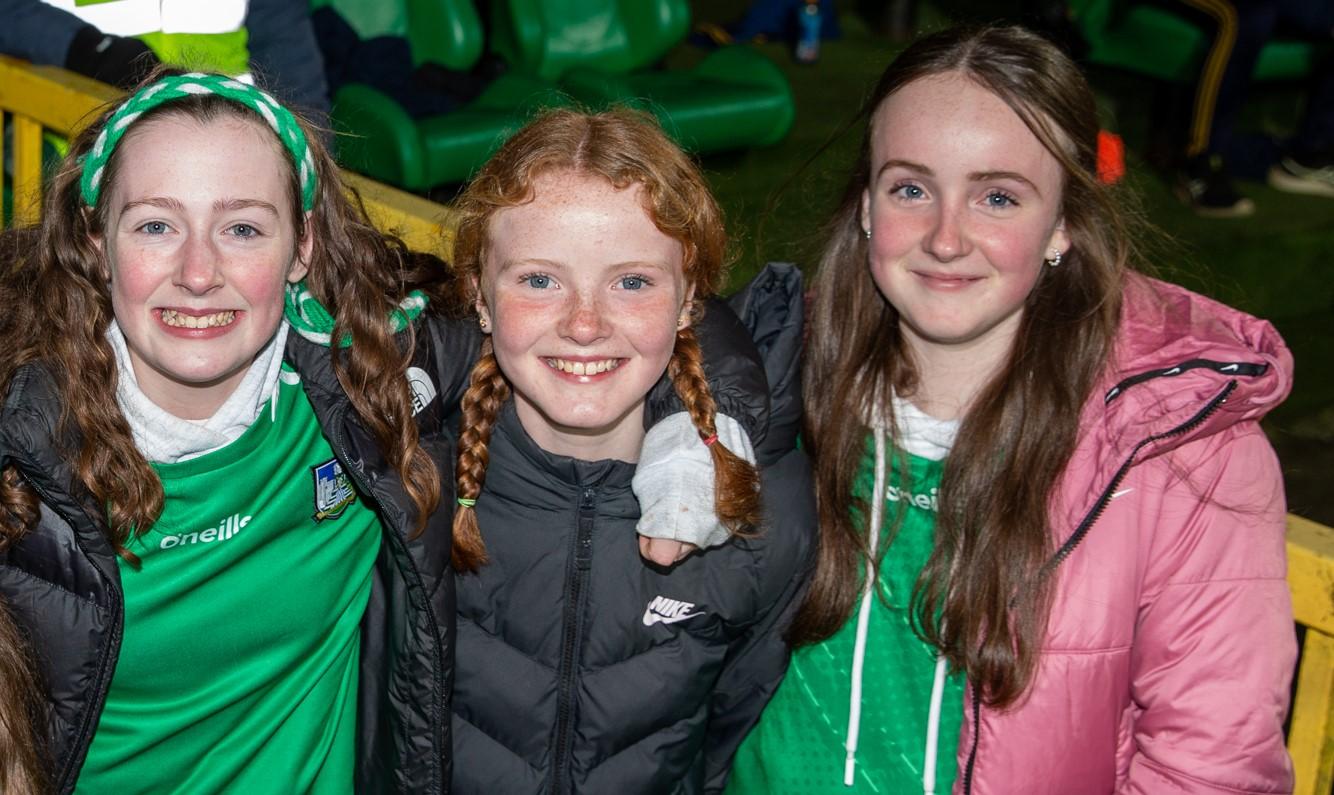 In Pictures: Limerick supporters revel in league semi-final win over ...