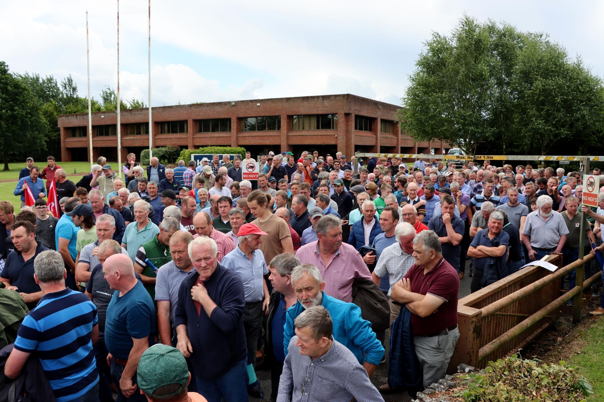In Pictures: Limerick farmers take lead as hundreds attend Kerry ...