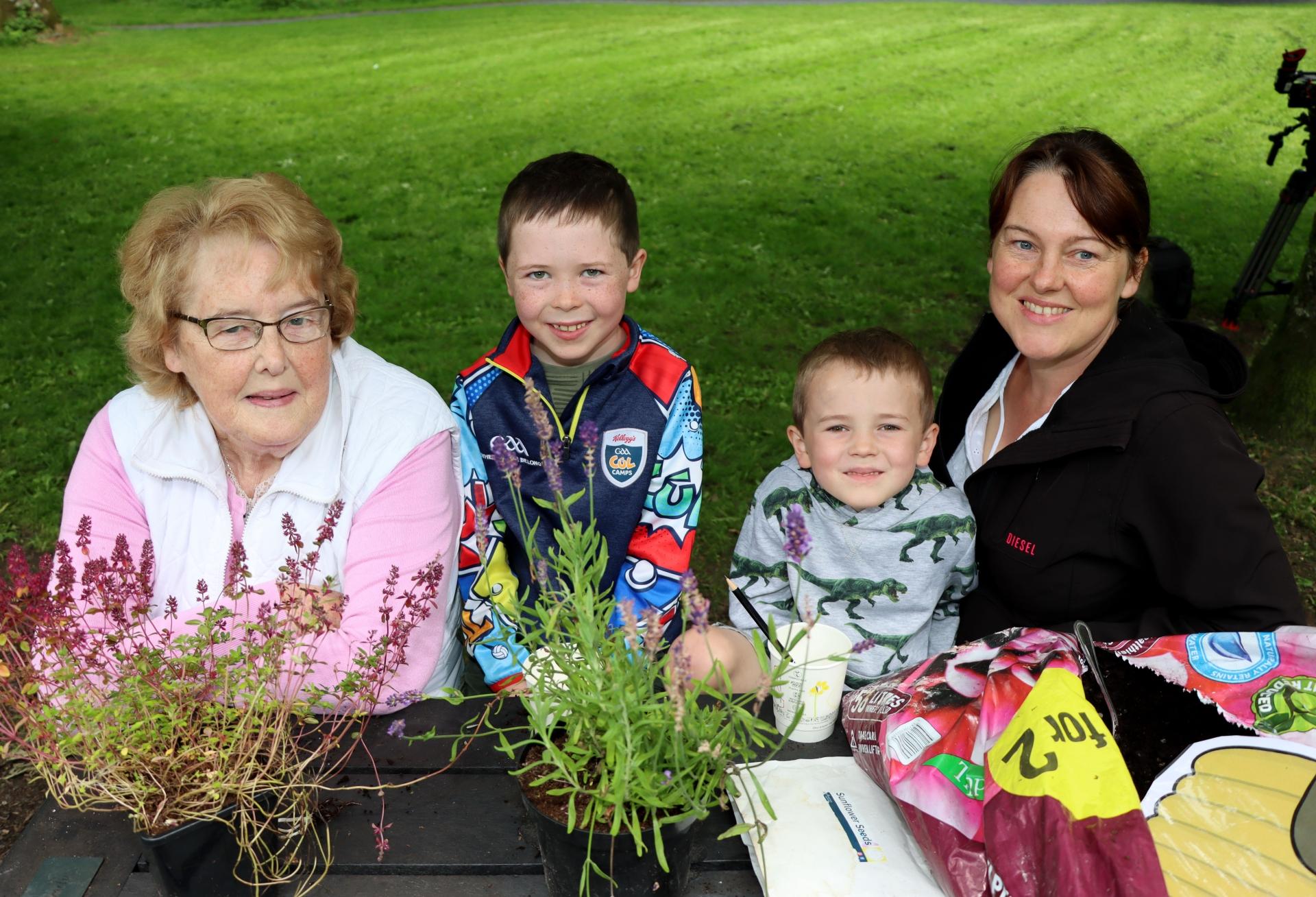 In Pictures: Busy bees at Limerick heritage site - Page 1 of 8 ...