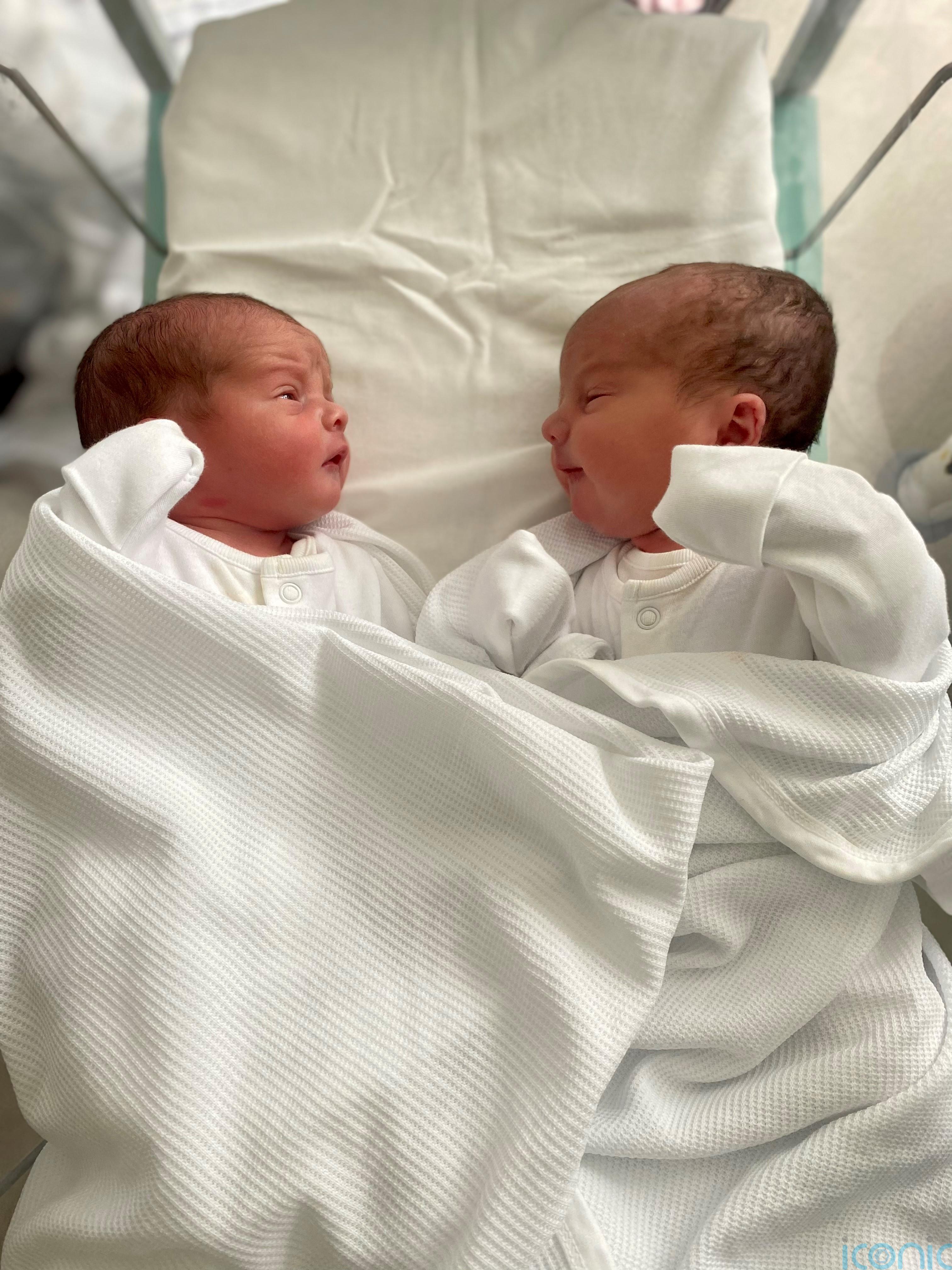 Newborn Baby Twins In Hospital