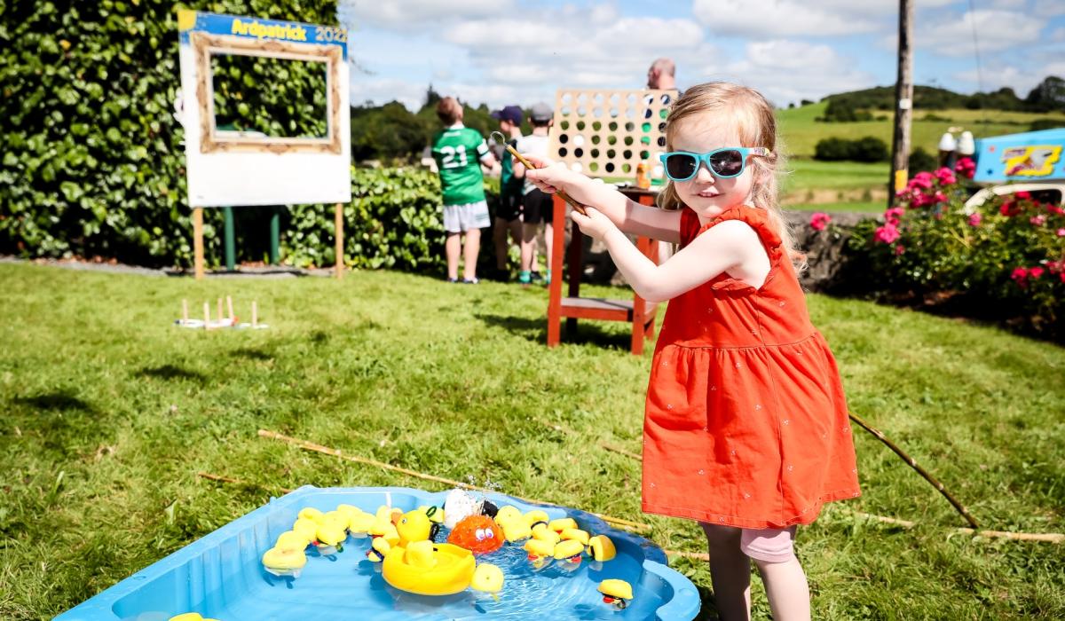 In Pictures: Limerick village family fun day a big hit among locals ...