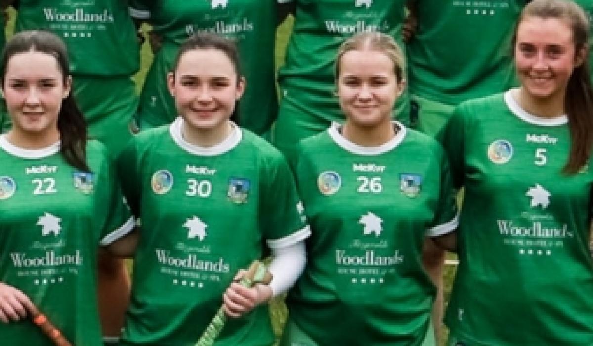 Three Limerick camogie teams in weekend action - Limerick Live