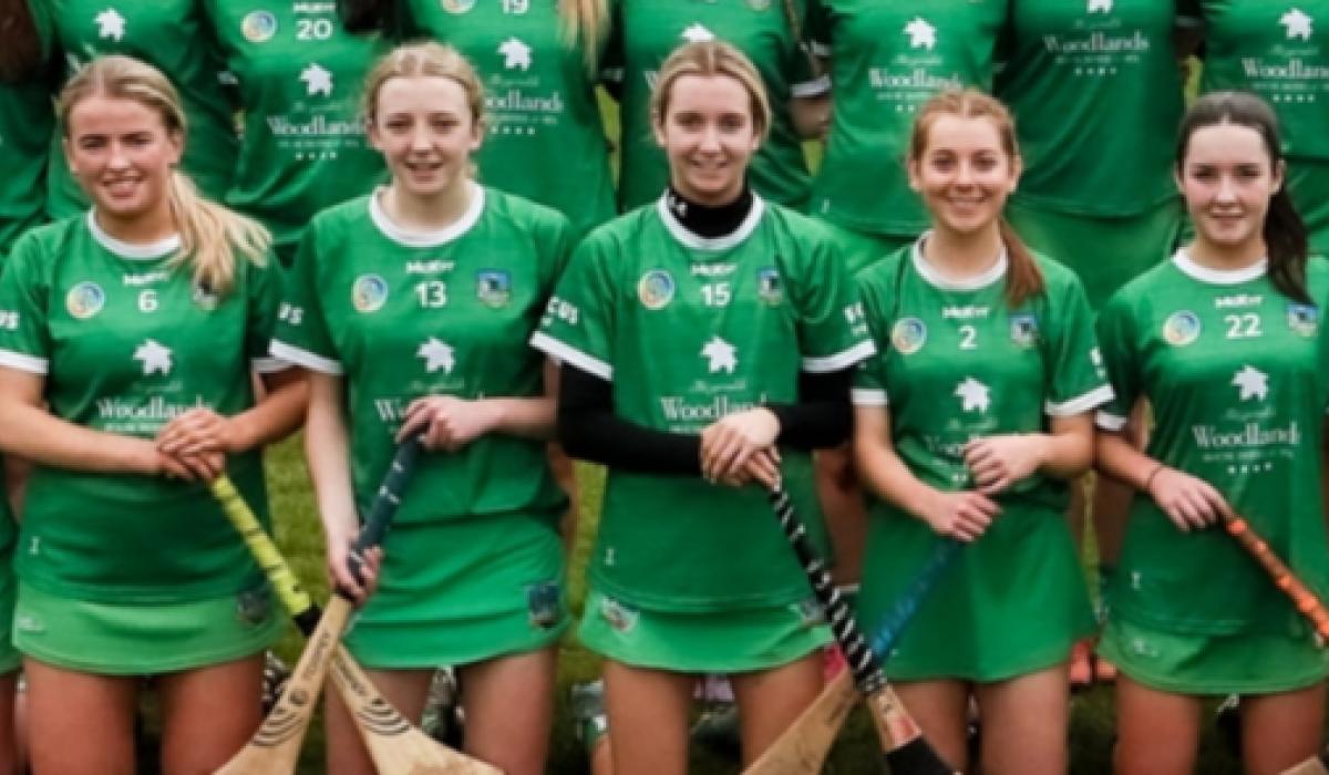 Limerick minor camogie team for Antrim clash is revealed - Limerick Live