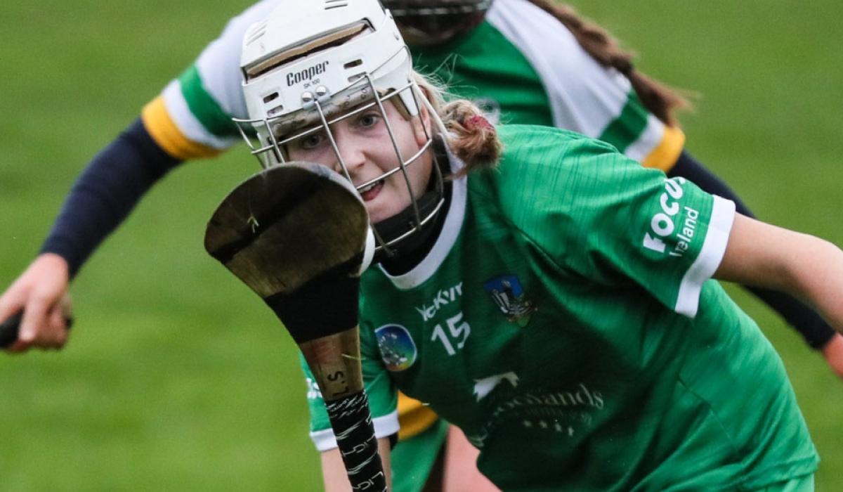 Limerick minor camogie side remain unbeaten after comeback against ...
