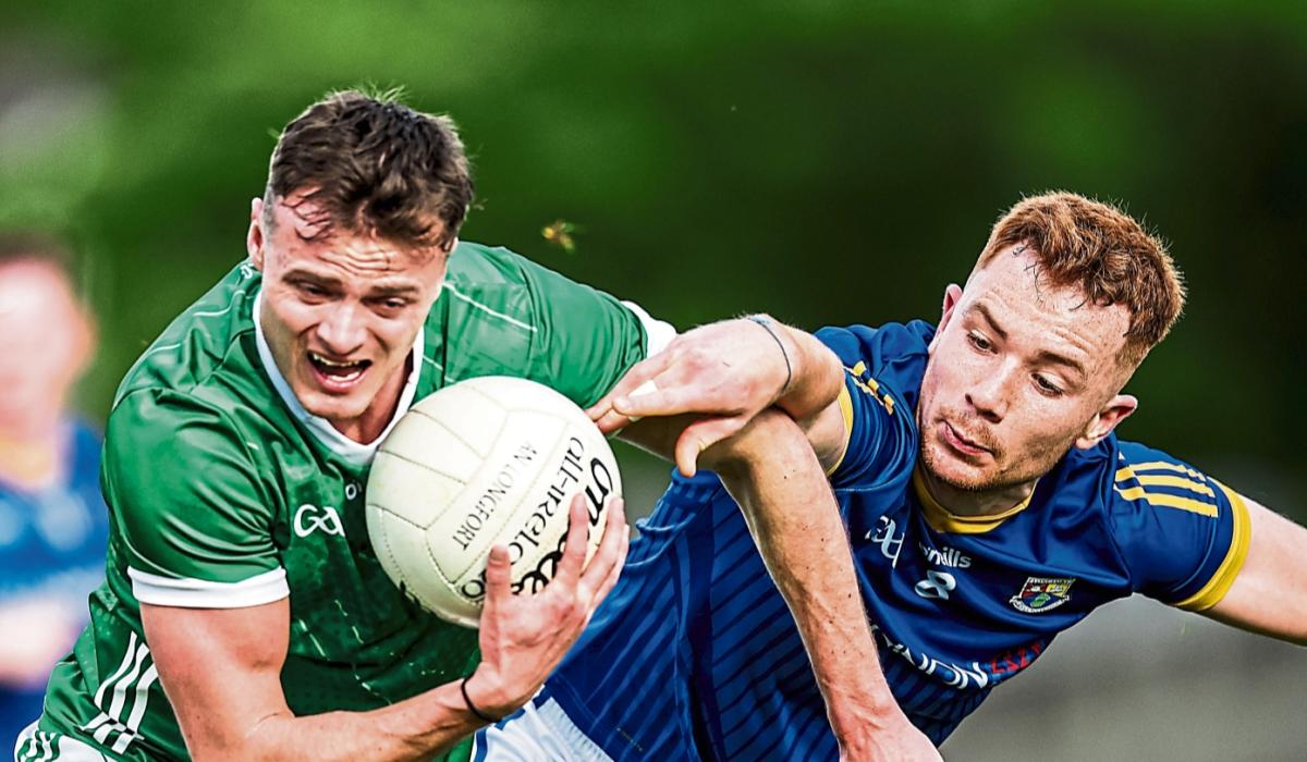 Limerick continue Tailteann Cup campaign against Wicklow - Limerick Live