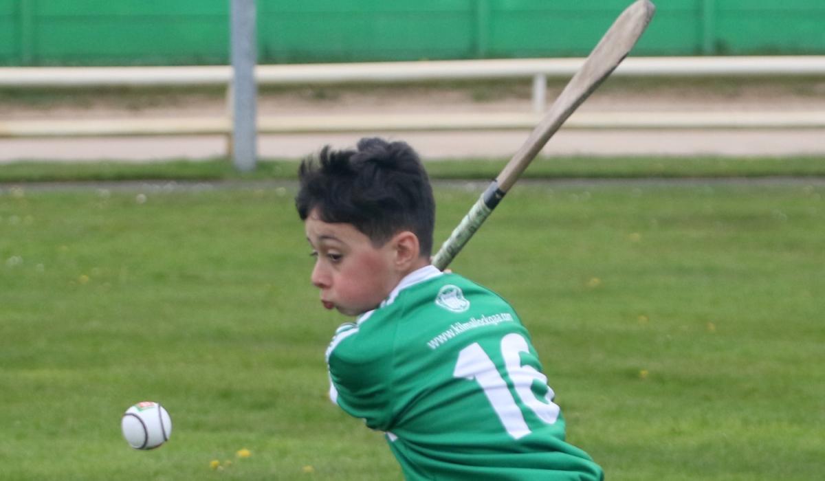 In Pictures: GAA host Poc Fada and Kick Fada competitions in Limerick ...