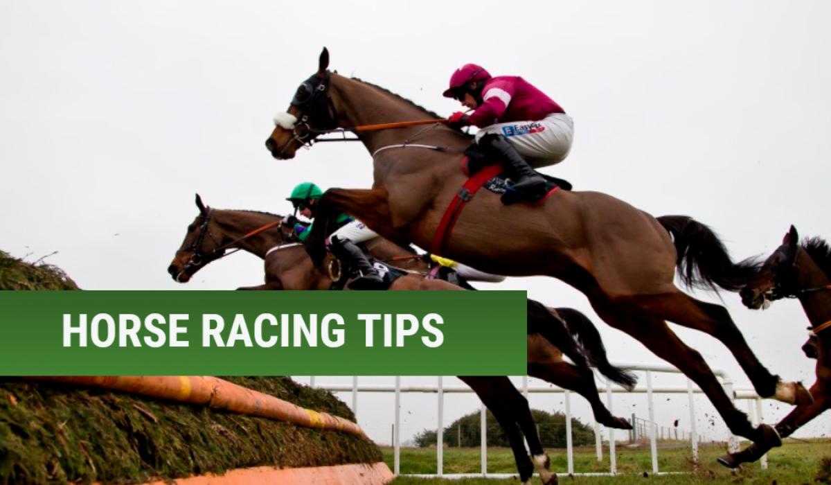 THE PUNTER'S EYE: Percy can peak at right time to down Duke - Limerick Live