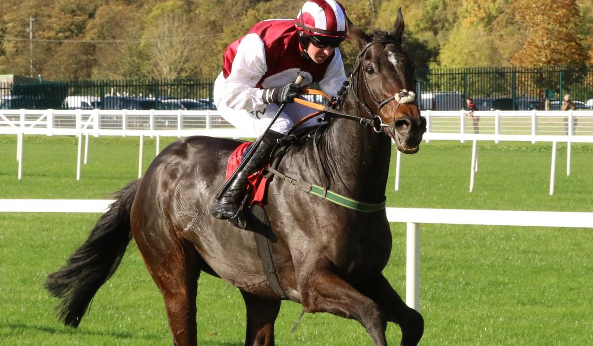 Successful week for Limerick racing with wins in Tramore and Cork ...