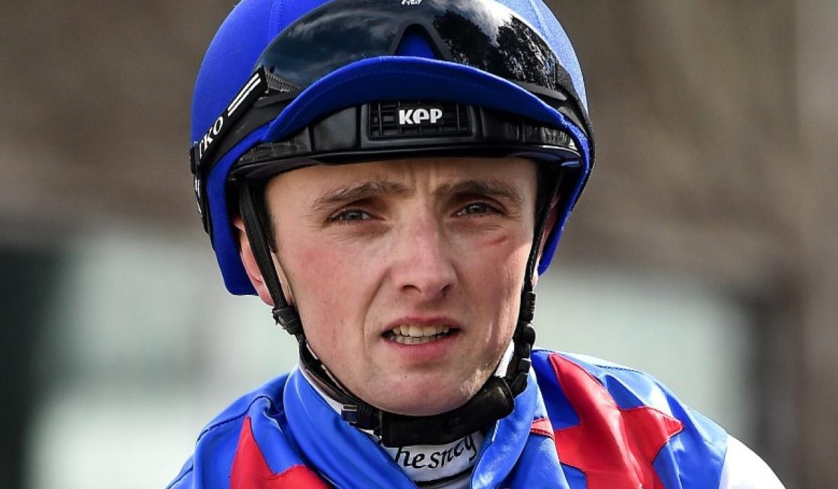 Limerick Jockey Chris Hayes is enjoying his best ever season - Limerick ...