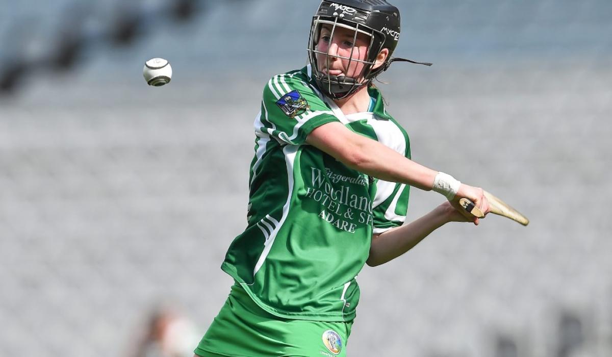 Captain Costelloe points Limerick to opening round camogie league win ...