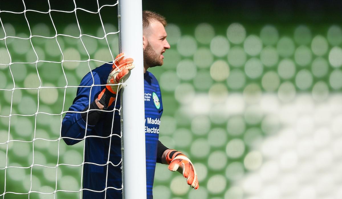 Limerick stars named in Irish squad to face U21s - Limerick Live