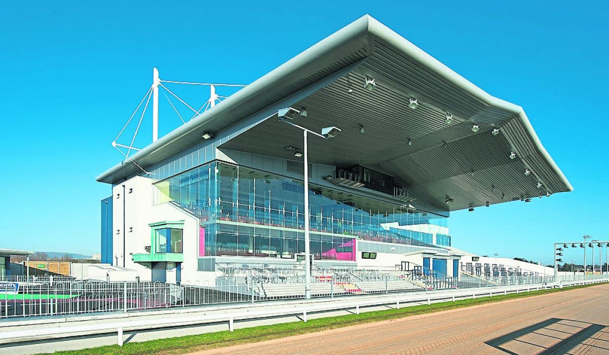 Double wins for Billy Guiney and Thomas Gallagher in Limerick Greyhound ...