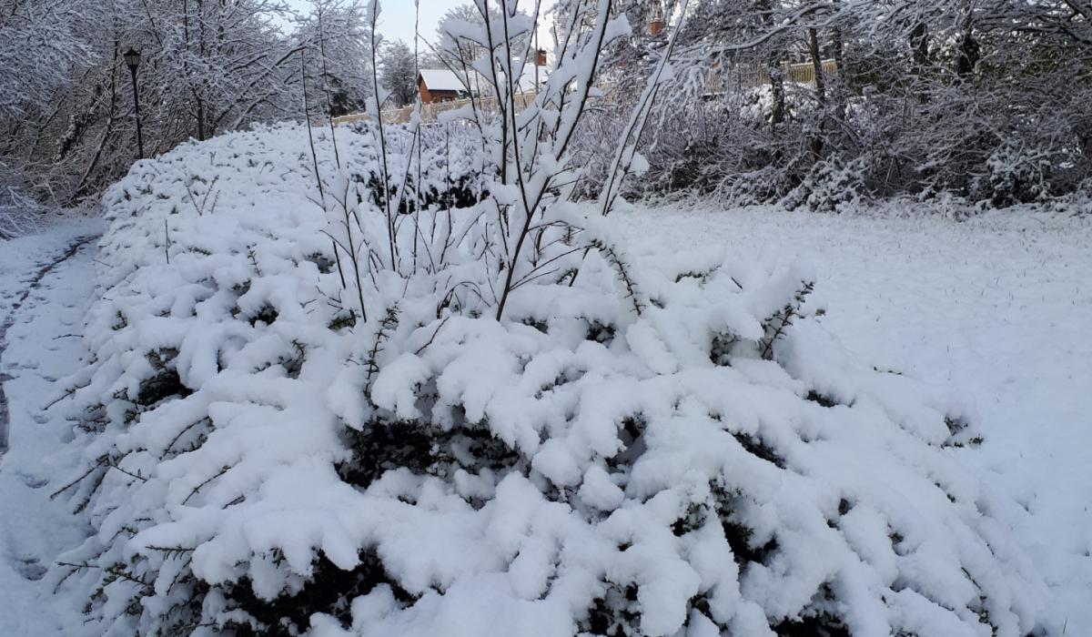 Snow-ice warning issued for three counties as Ireland braces for major ...