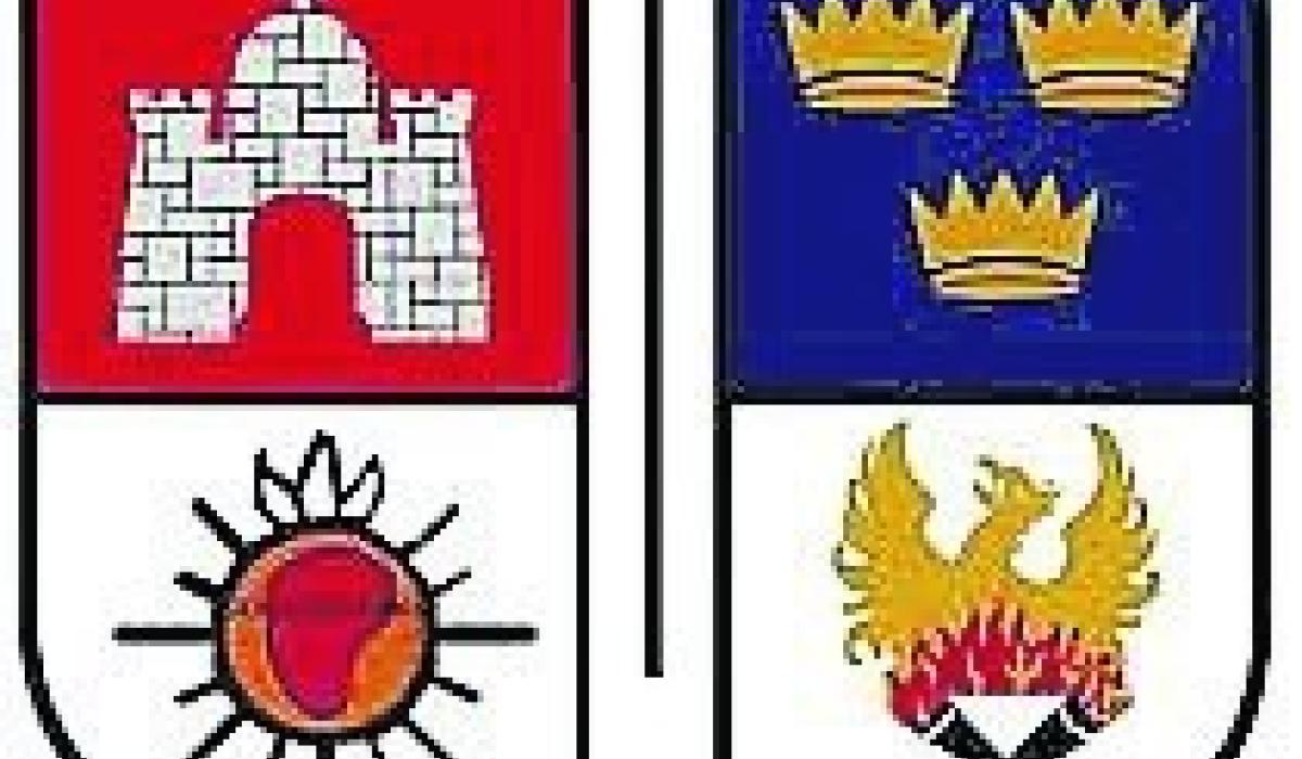 20 new special classrooms get go-ahead for Limerick school - Limerick Live