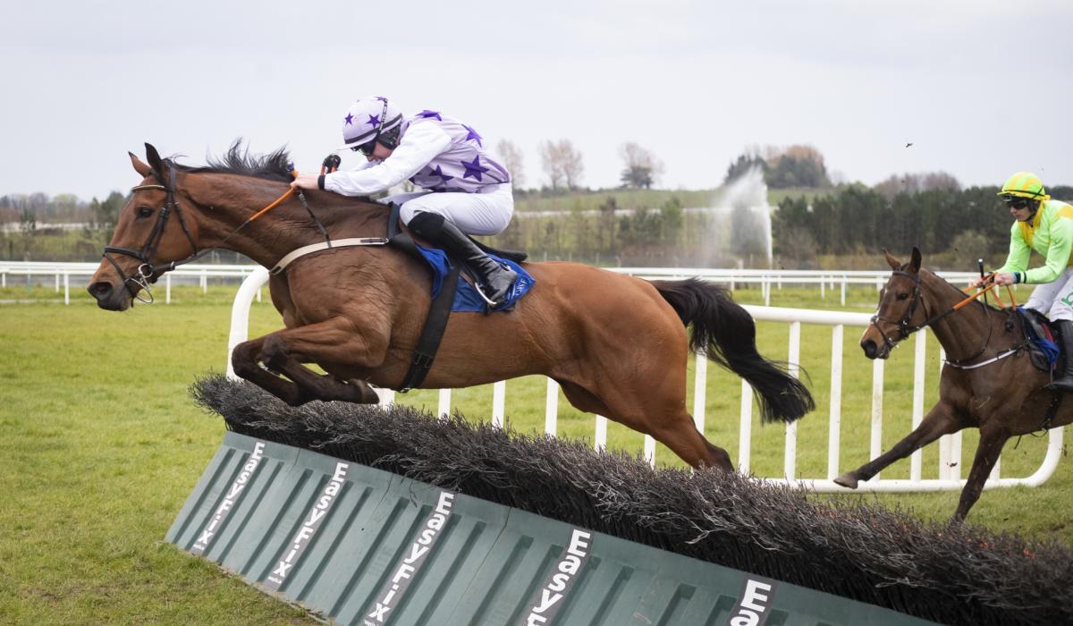 Limerick's Eric McNamara lands double on home track - Limerick Live