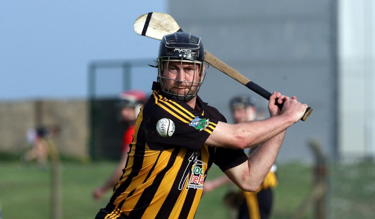 LeaderSport Limerick SHC Team of the Week - Limerick Live