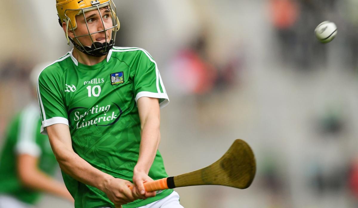 Limerick confirm a 33-strong panel for the Munster minor hurling ...