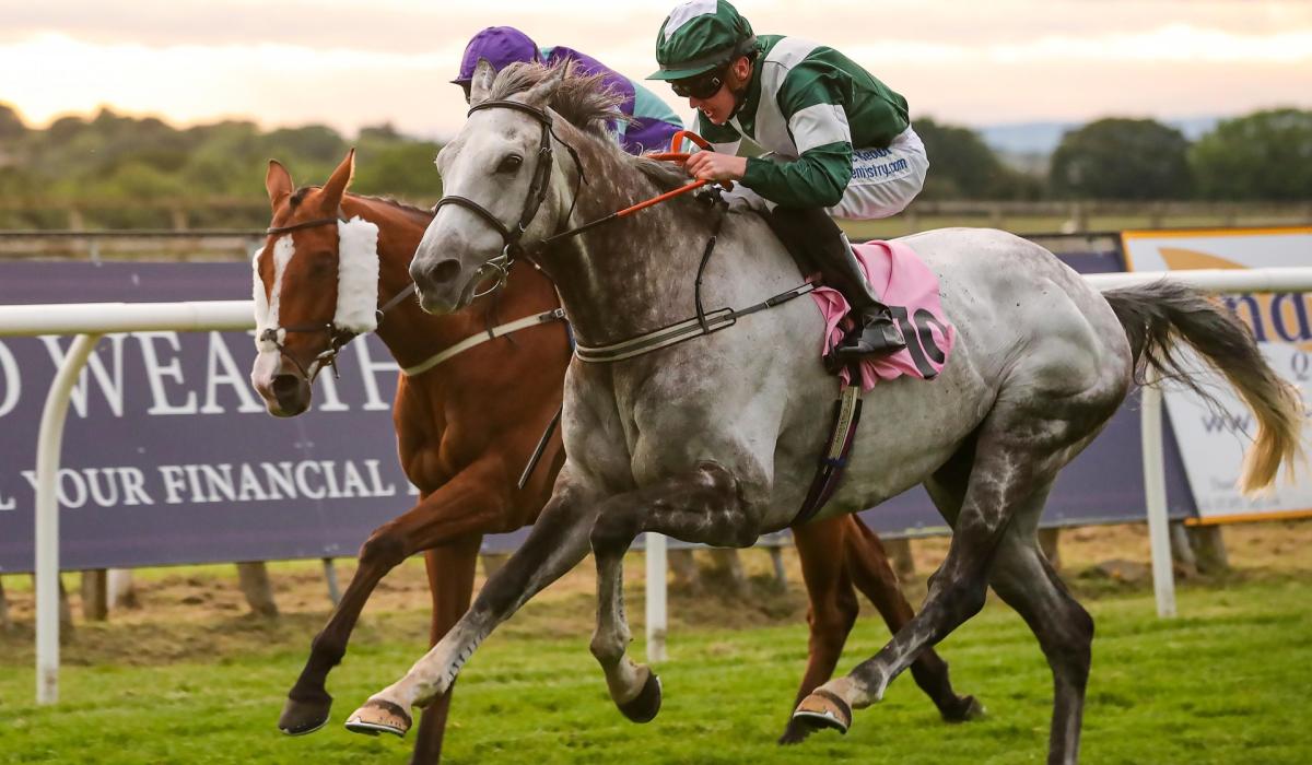 Horse Racing: Limerick's Charles Byrnes wins in Carlisle - Limerick Live