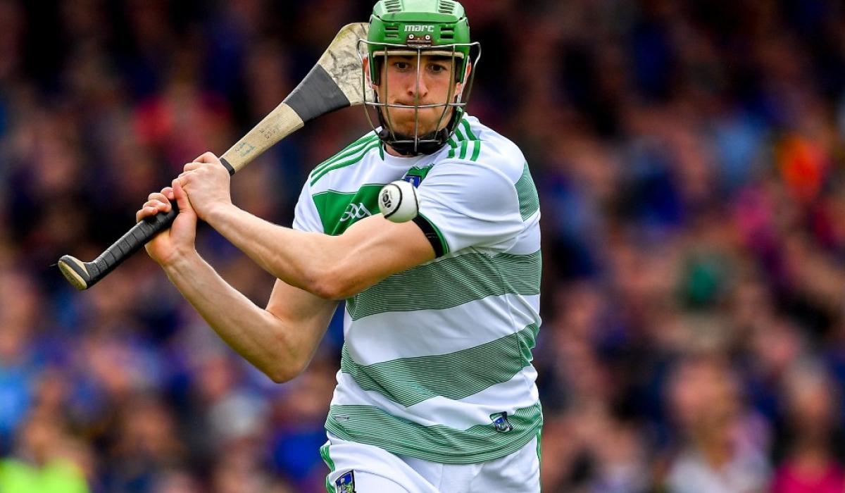 No room for softness in title defence insists Limerick goalkeeper ...