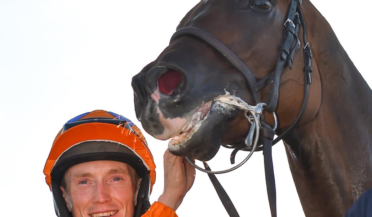 WATCH: Limerick jockey Billy Lee celebrates big race win in France ...