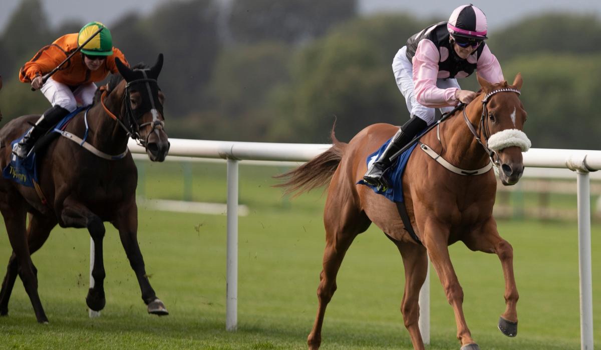 Horse Racing News: Patrickswell's Michael Hourigan finds Downpatrick a ...
