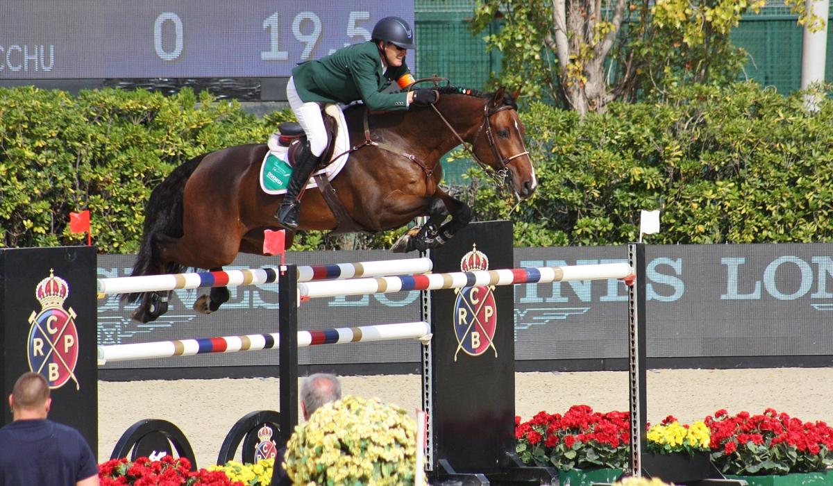 Limerick rider helps Irish Show Jumping team qualify for Tokyo Olympic ...