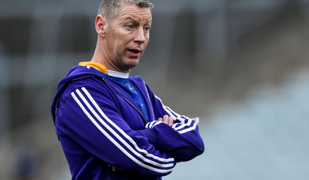 Report links Limerick legend Ciaran Carey to Galway vacancy - Limerick Live