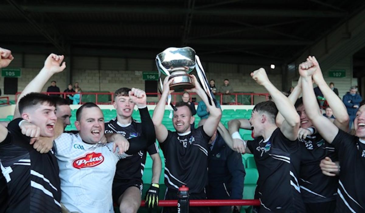 A fourth Limerick SFC title for Newcastle West with impressive final ...