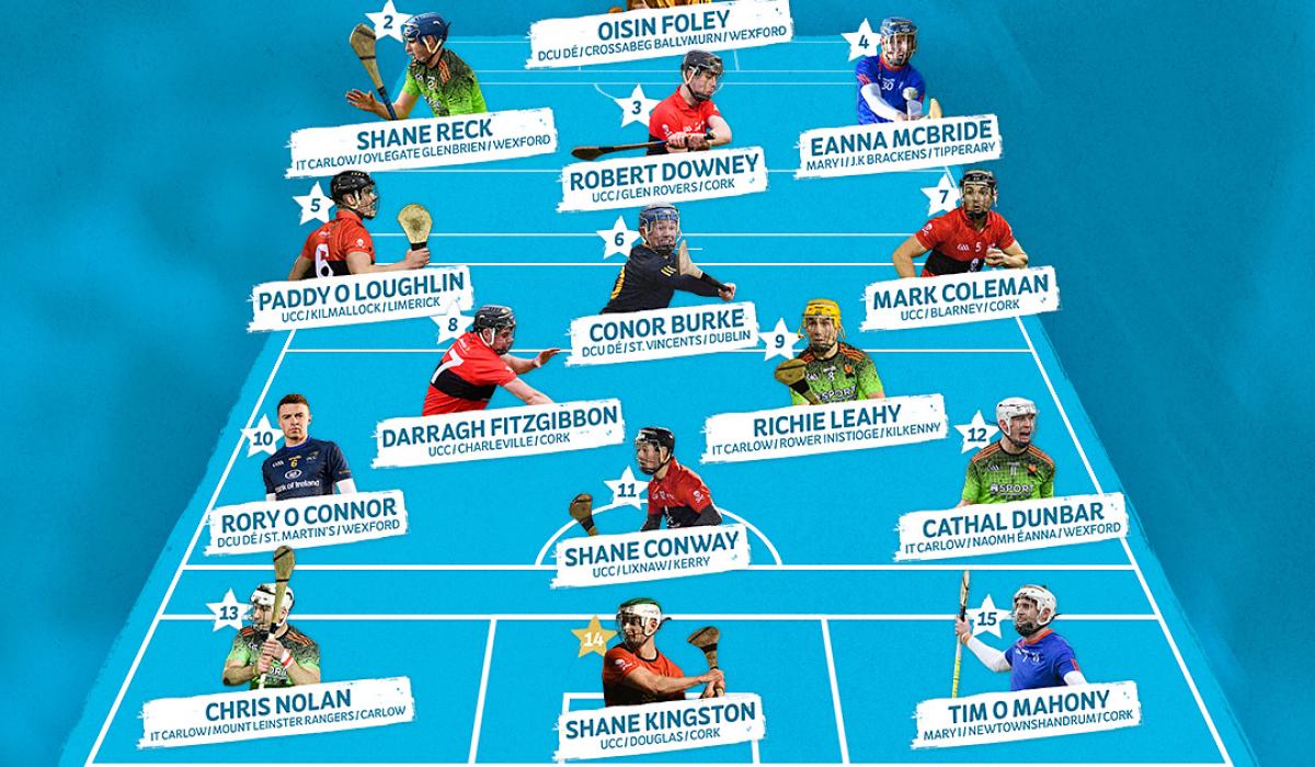 Limerick inter county star named on Fitzgibbon Cup team of the year ...