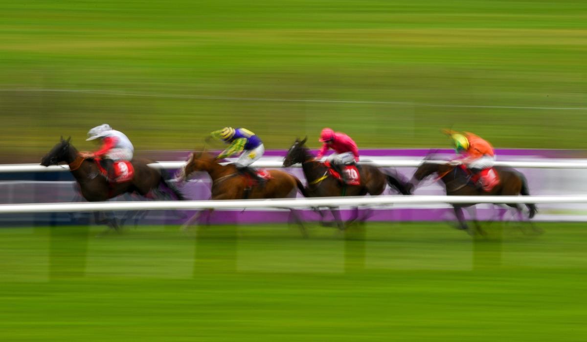 Horse Racing Ireland announces closure of the 2019/20 National Hunt ...