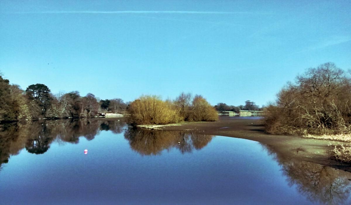 Concern over water levels as Ireland experiences 'absolute drought ...