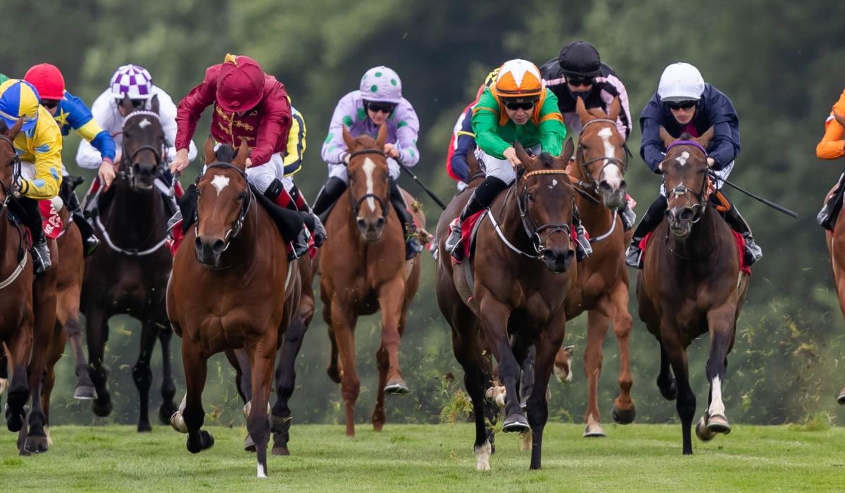 RACING: Top tips for Saturday's card at Gowran Park - Limerick Live