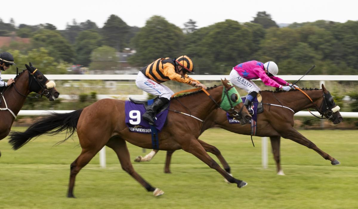 Horse Racing Ireland News: Multiple Limerick winners as racing returns ...
