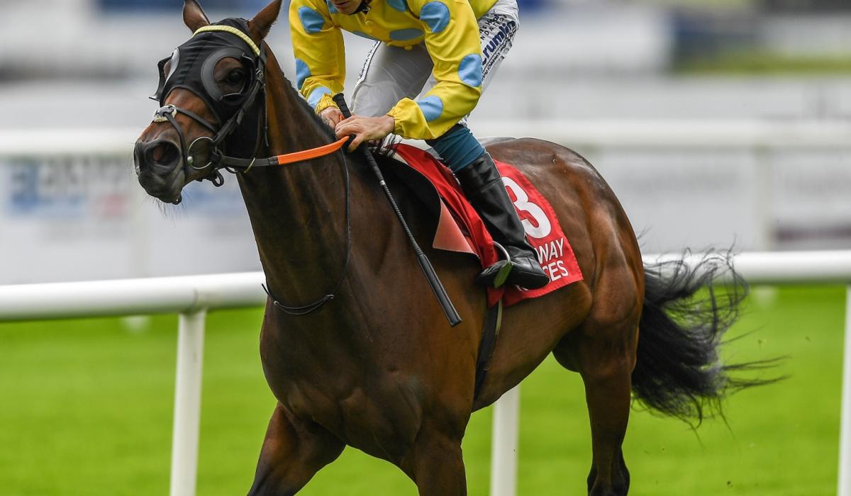 WATCH: Limerick jockey Billy Lee off to a flyer at the Galway Races ...
