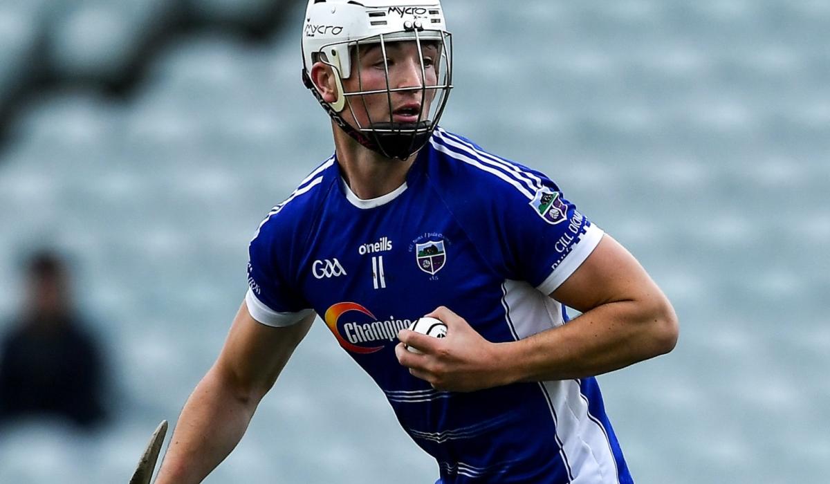 Kyle Hayes goal sets Kildimo-Pallaskenry on way to victory over ...