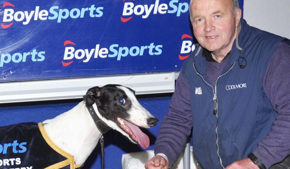 Limerick greyhound trainer reaches milestone of 1000 winners - Limerick ...