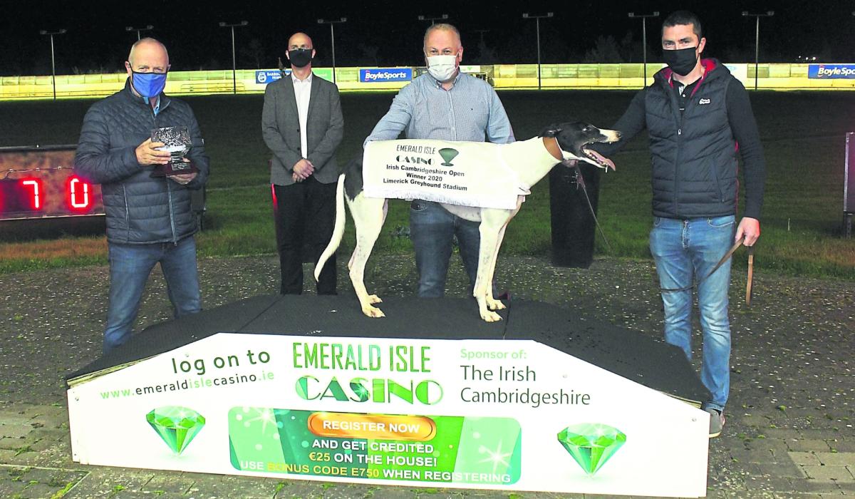 A new track record in Cambridgeshire final in Limerick Greyhound ...
