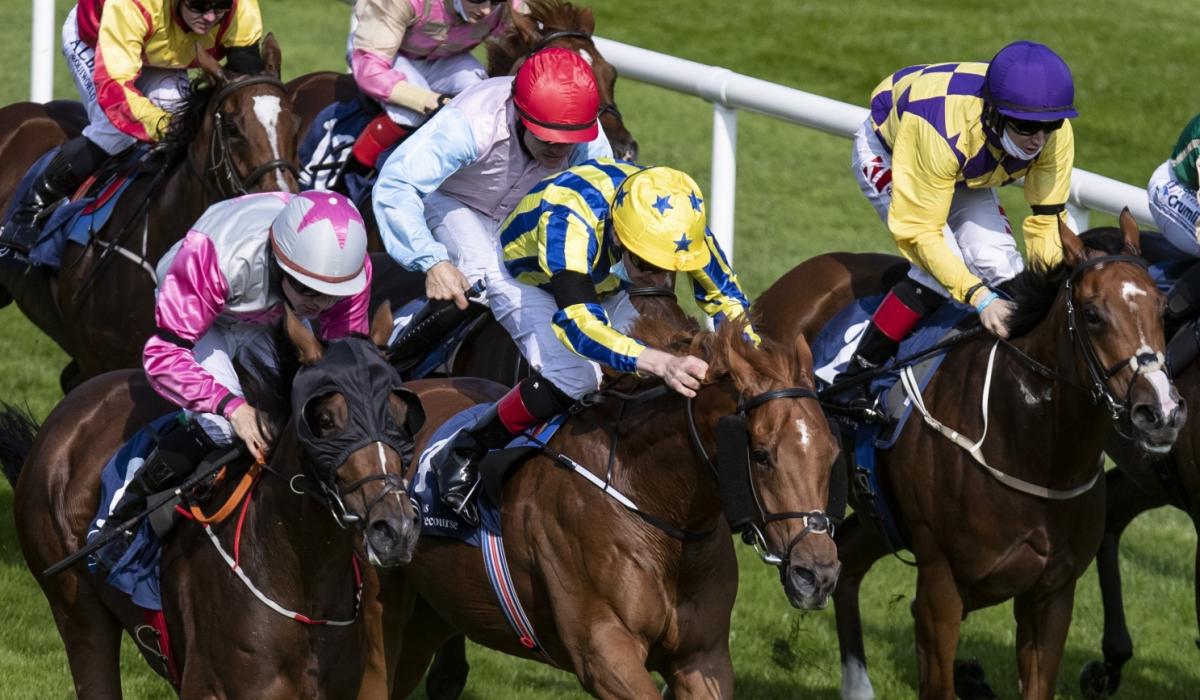 Limerick racing enthusiasts enjoy rich pickings on the track - Limerick ...