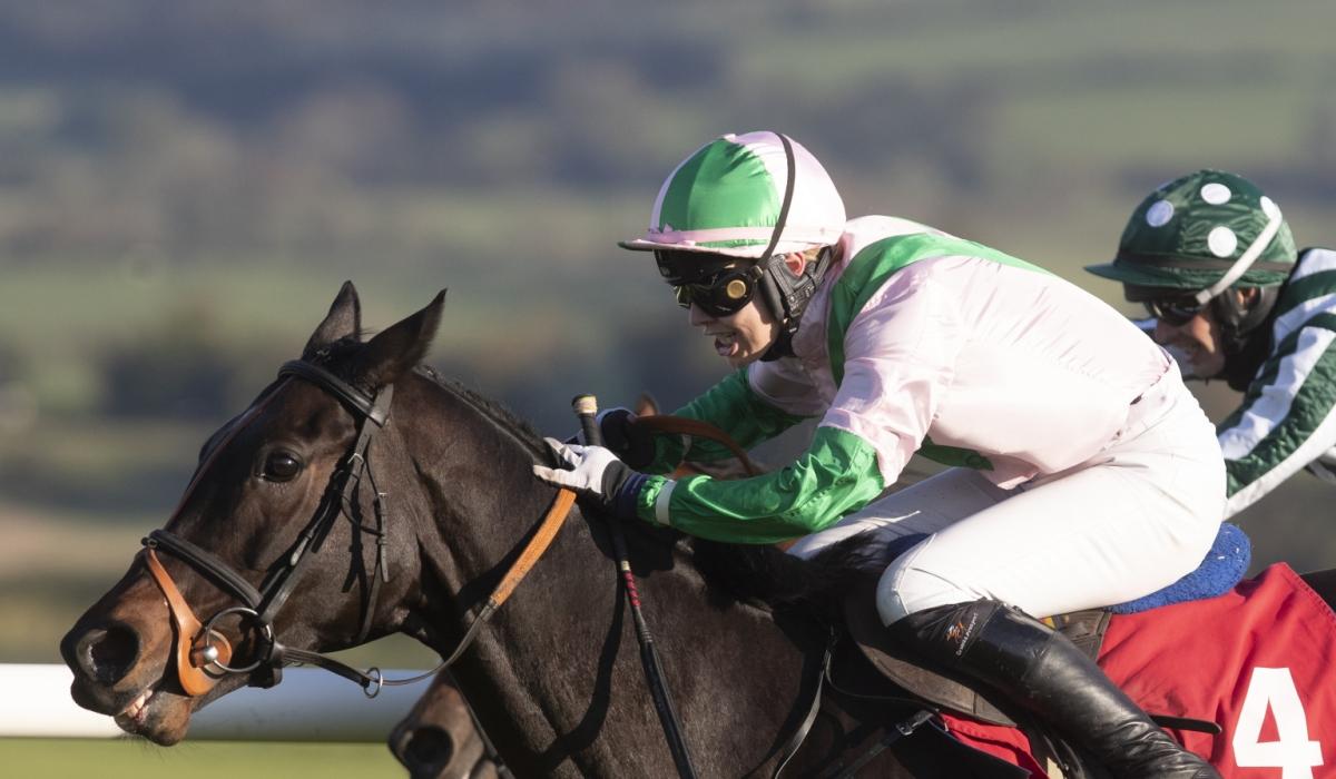 50 up for prolific Limerick flat jockey Billy Lee - Limerick Live