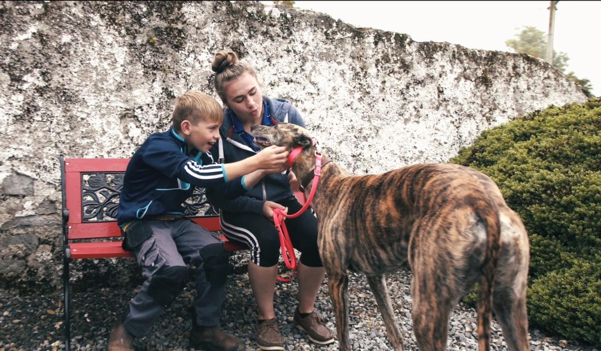 Extra night of racing confirmed for Limerick Greyhound Stadium ...