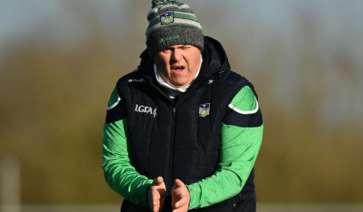 Donal Ryan: Limerick 'could have been annihilated but in fairness they ...