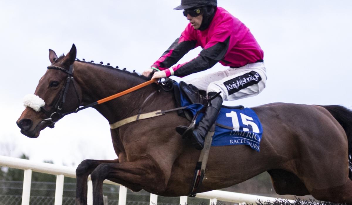 It's double delight for Athea racehorse trainer at Limerick - Limerick Live