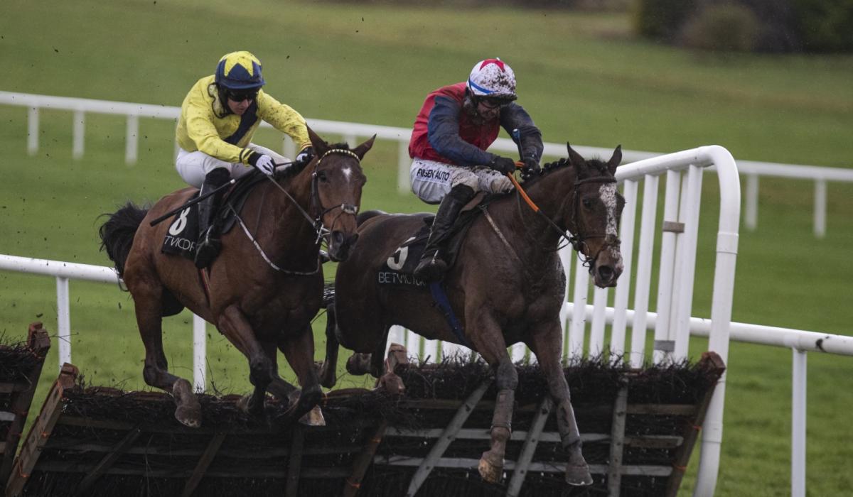 Limerick jockeys Conor McNamara and Billy Lee in top form - Limerick Live