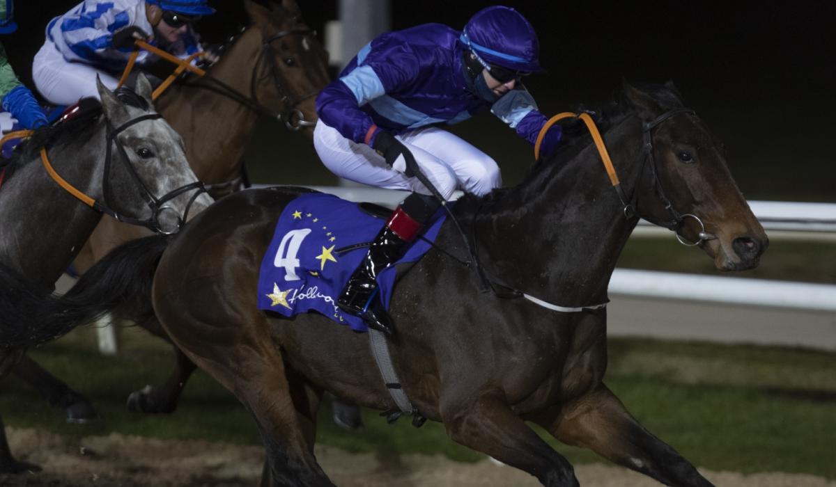 Winners alright for Limerick racing connections - Limerick Live