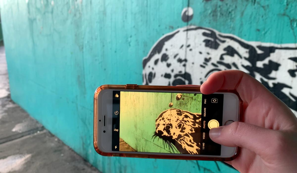 WATCH: Limerick city in the spotlight as part of national creative ...