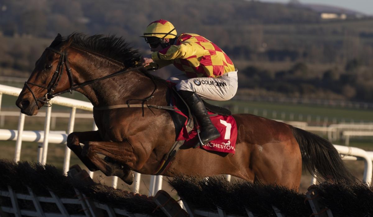 It's winners alright for Limerick racing connections - Limerick Live