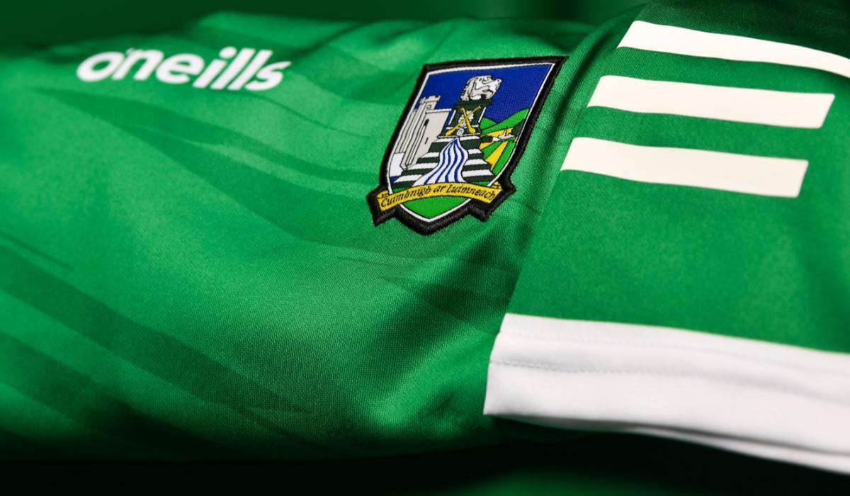 Limerick reveal 35-man minor hurling panel for their Munster ...