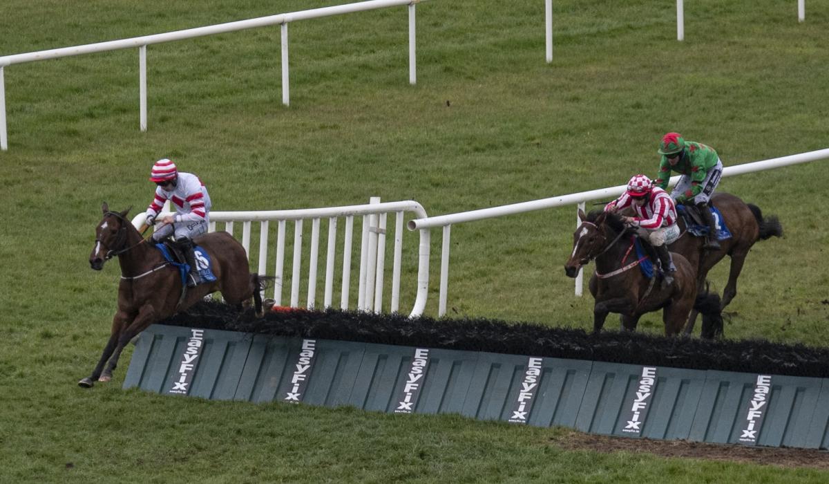 Bumper spell of success for Limerick racing connections - Limerick Live