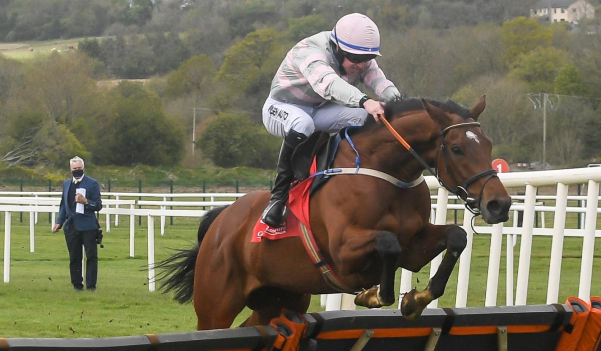 It's winners alright for Limerick racing enthusiasts - Limerick Live