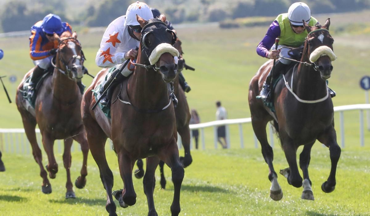 Winners alright for Limerick horse racing connections - Limerick Live